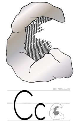 Large Cards Spanish - Itchy's Alphabet